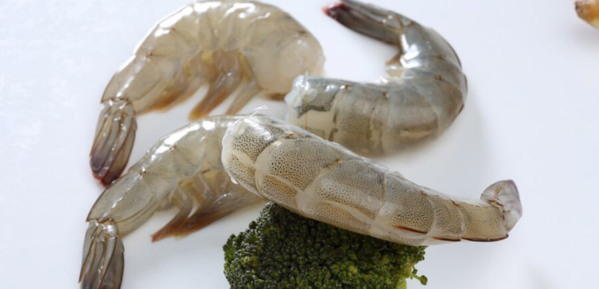 Nila Sea Foods Products - Nila Sea Foods